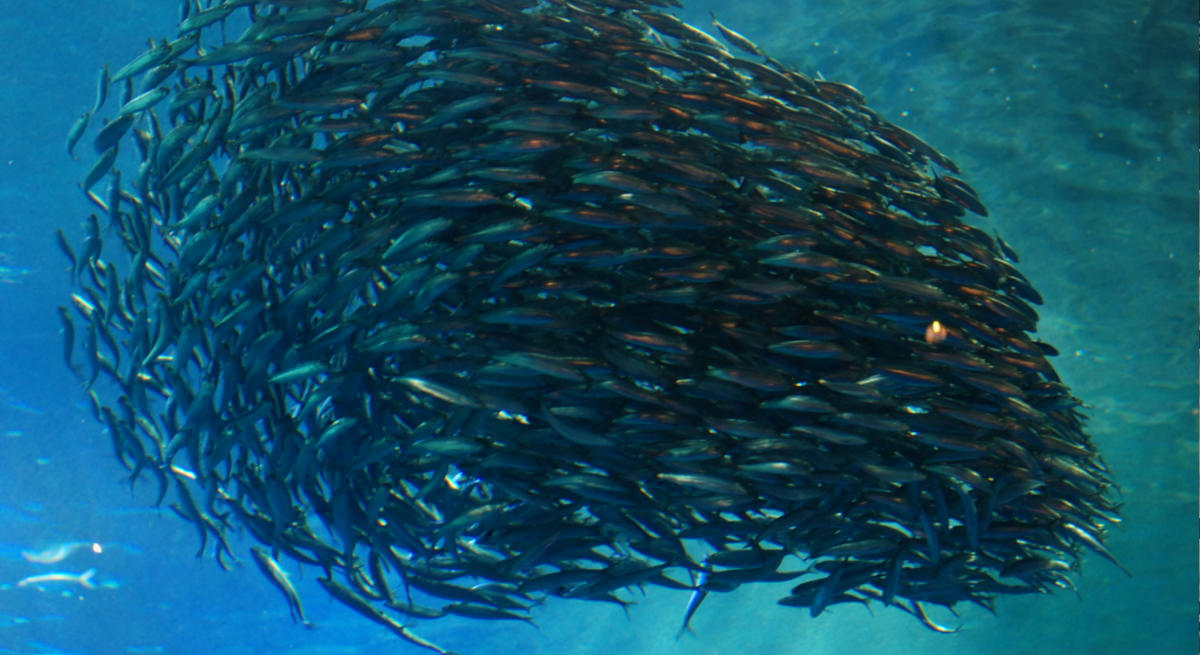 Cloud Strategy - An Architect Elevator Guide to Successful Cloud ...